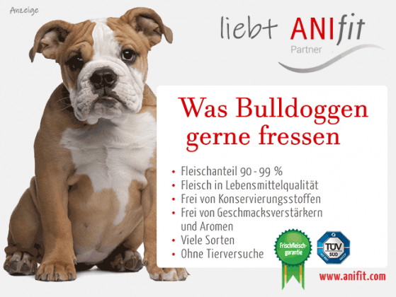 Gesunde Ernährung der Englischen Bulldogge - Bulldogfreunde